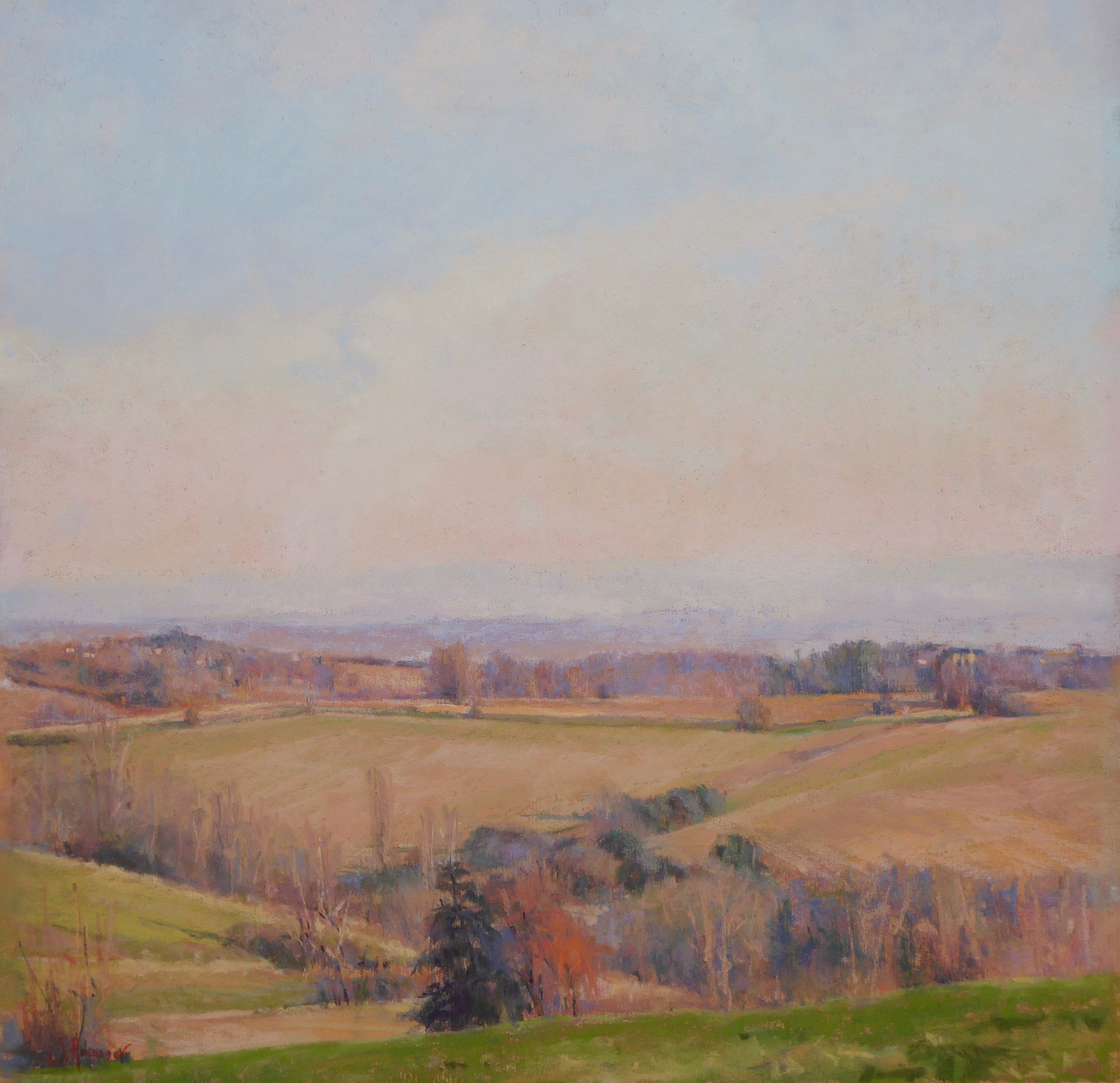 Sophie Amauger - Artiste pastelliste | Société des Pastellistes de France