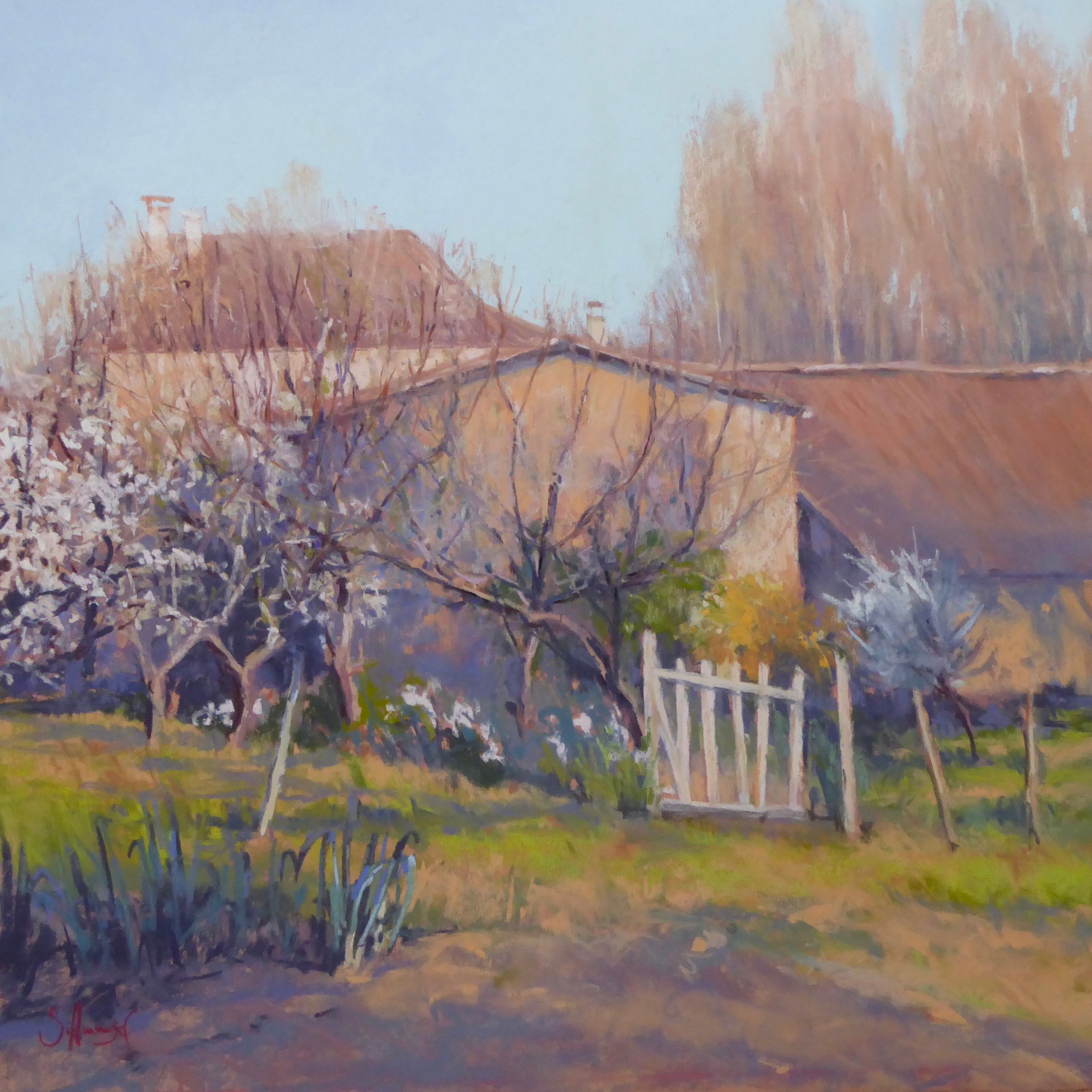 Sophie Amauger - Artiste pastelliste | Société des Pastellistes de France