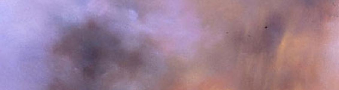 Alain Victor - Artiste pastelliste | Société des Pastellistes de France