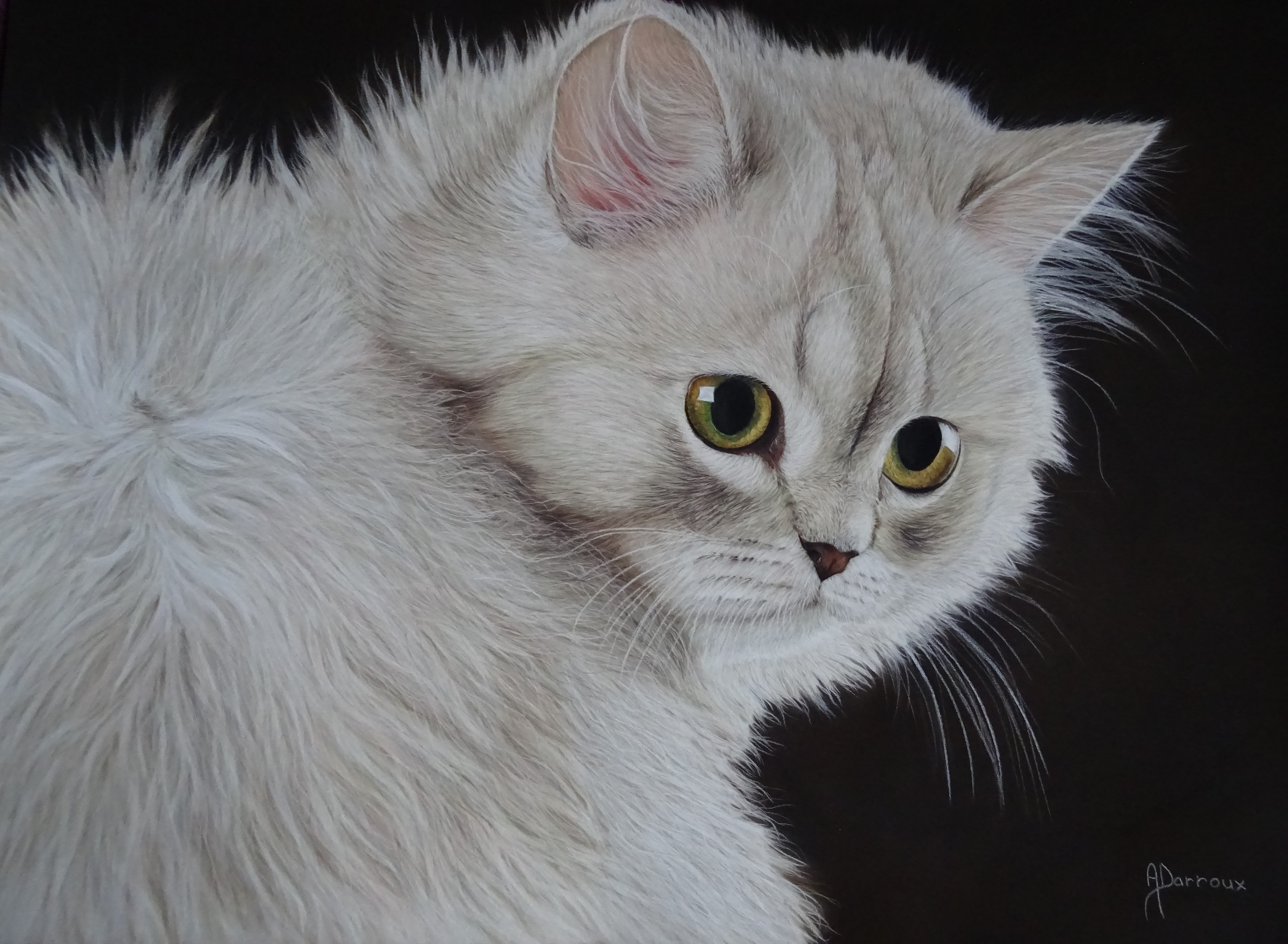 Annie Darroux - Artiste pastelliste | Société des Pastellistes de France