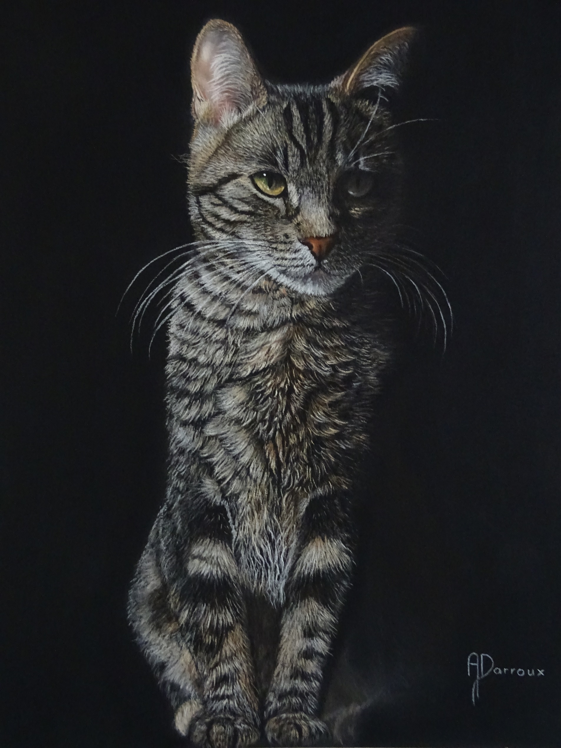 Annie Darroux - Artiste pastelliste | Société des Pastellistes de France