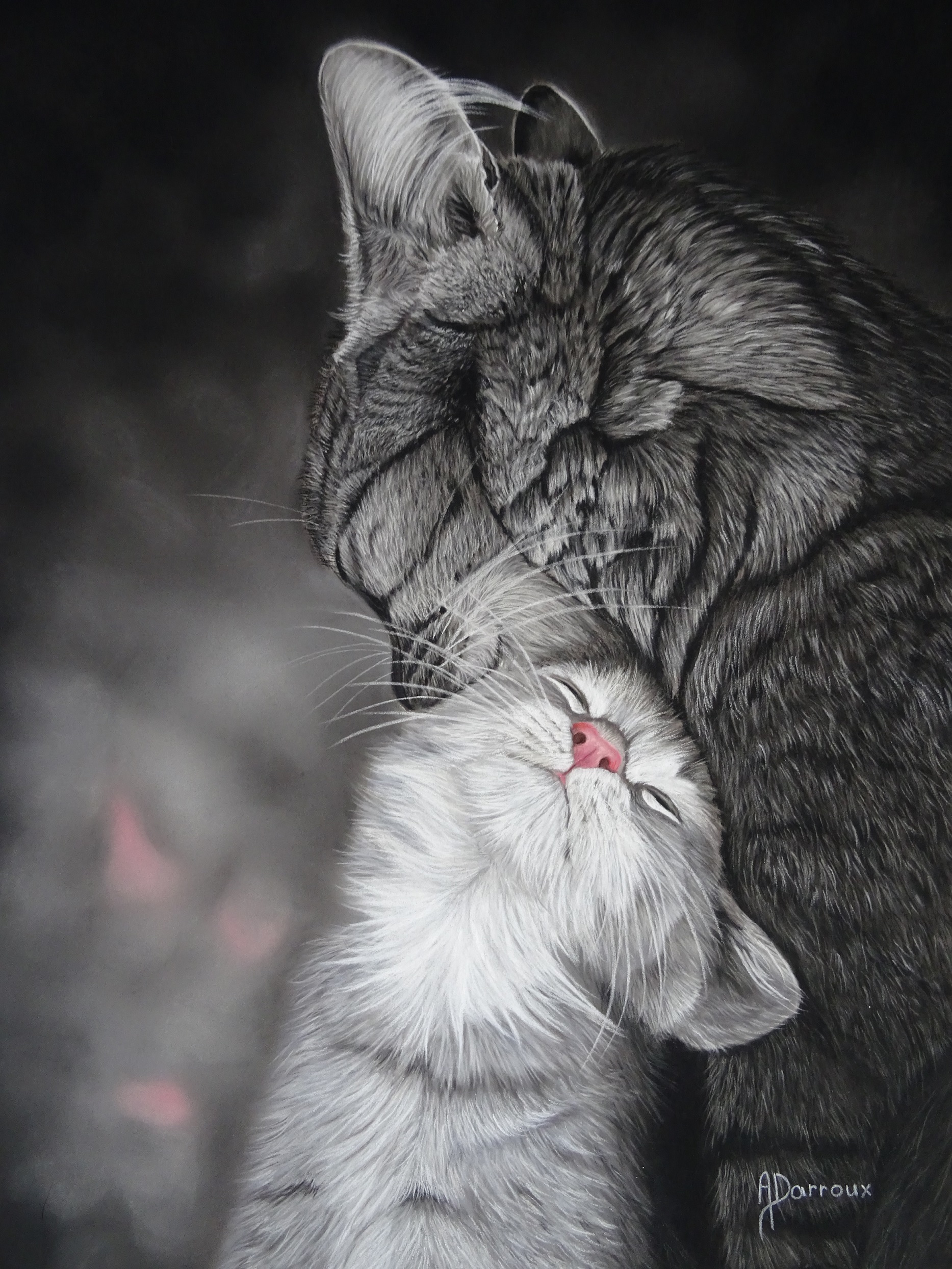 Annie Darroux - Artiste pastelliste | Société des Pastellistes de France