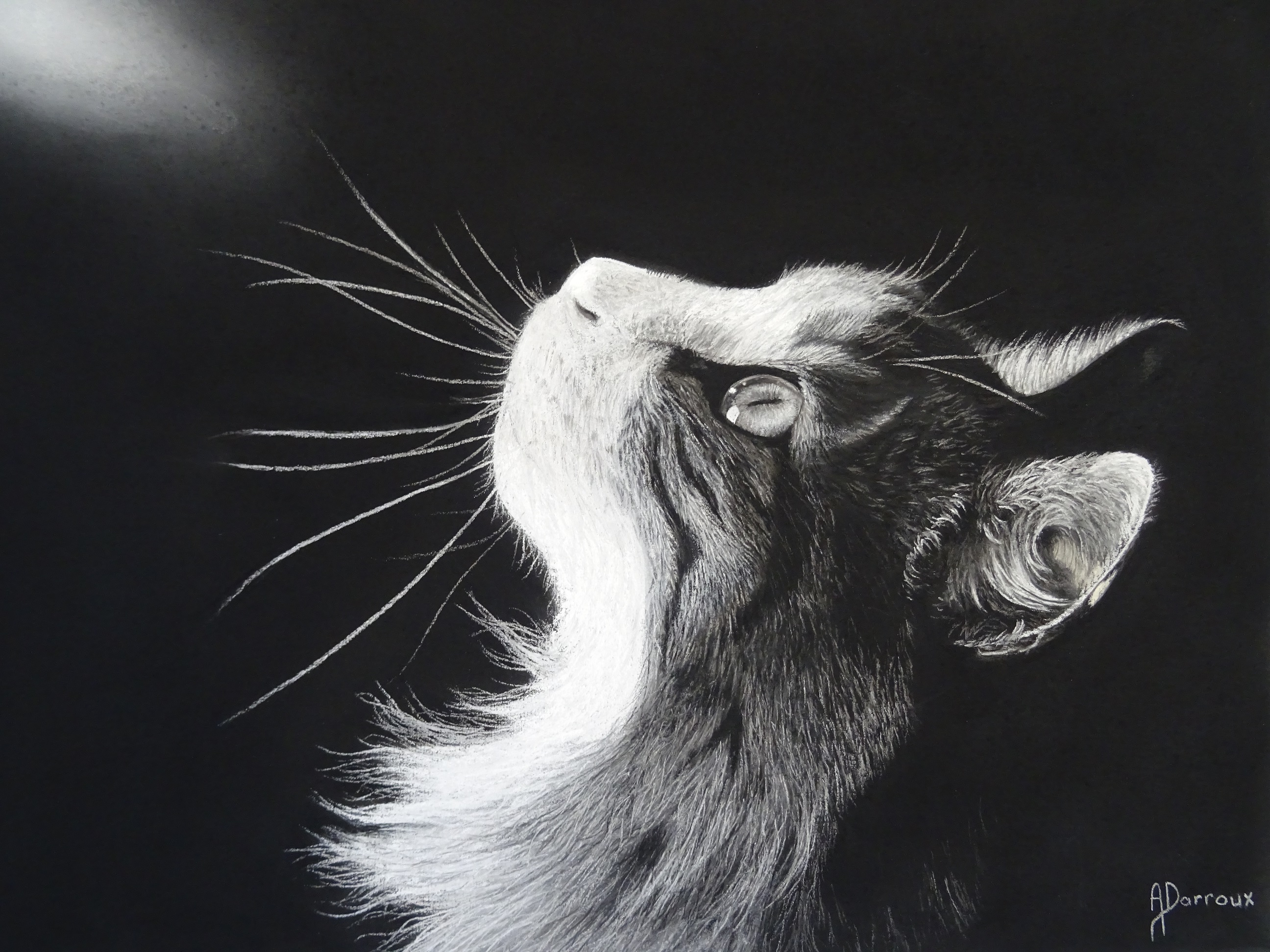 Annie Darroux - Artiste pastelliste | Société des Pastellistes de France