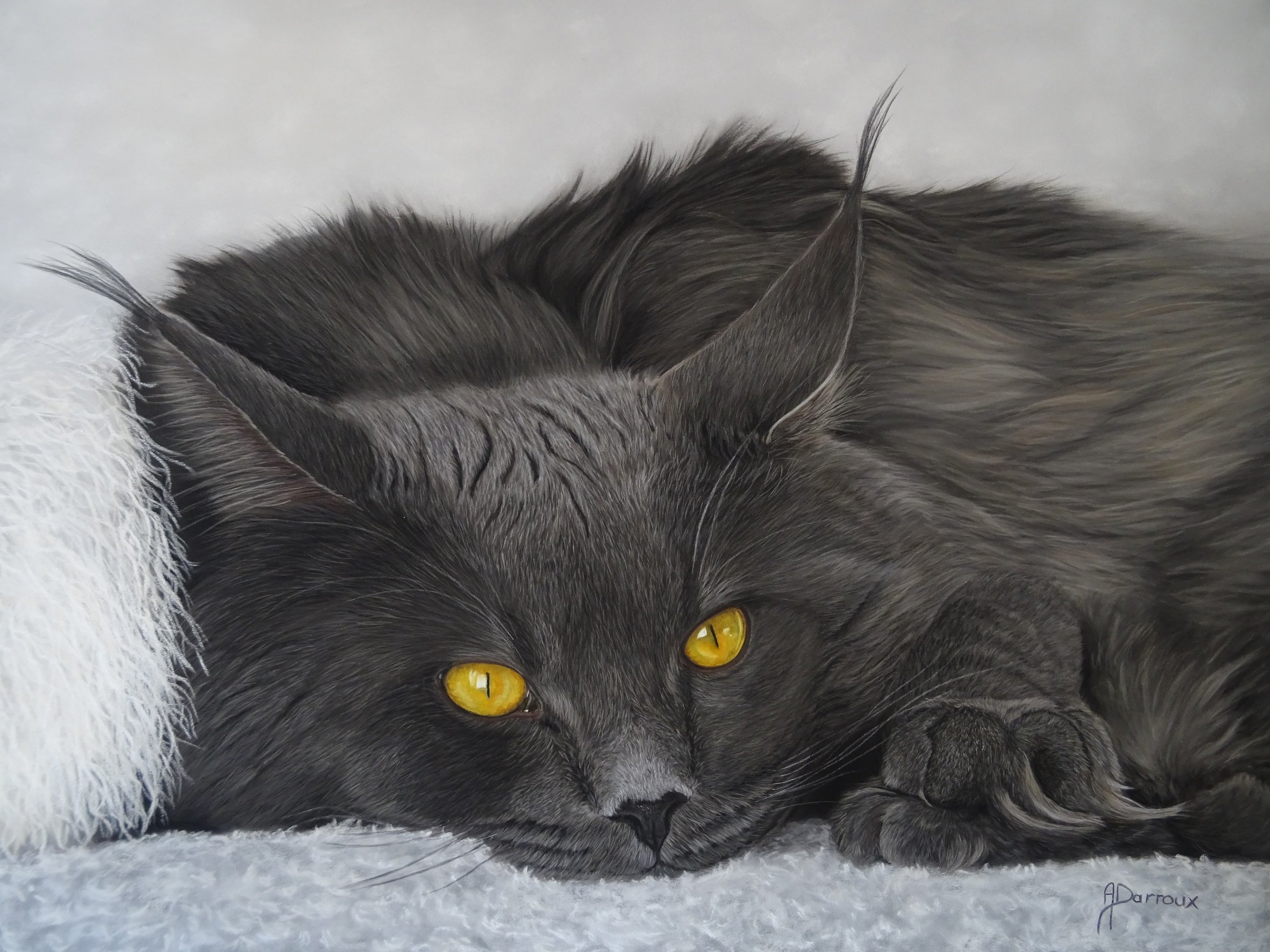 Annie Darroux - Artiste pastelliste | Société des Pastellistes de France