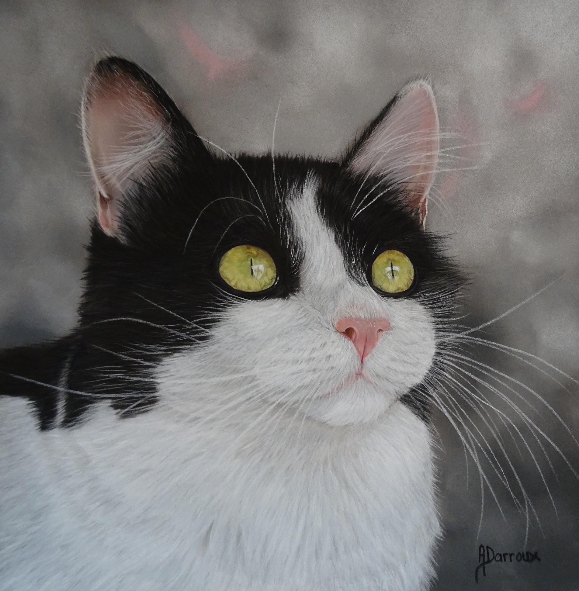 Annie Darroux - Artiste pastelliste | Société des Pastellistes de France