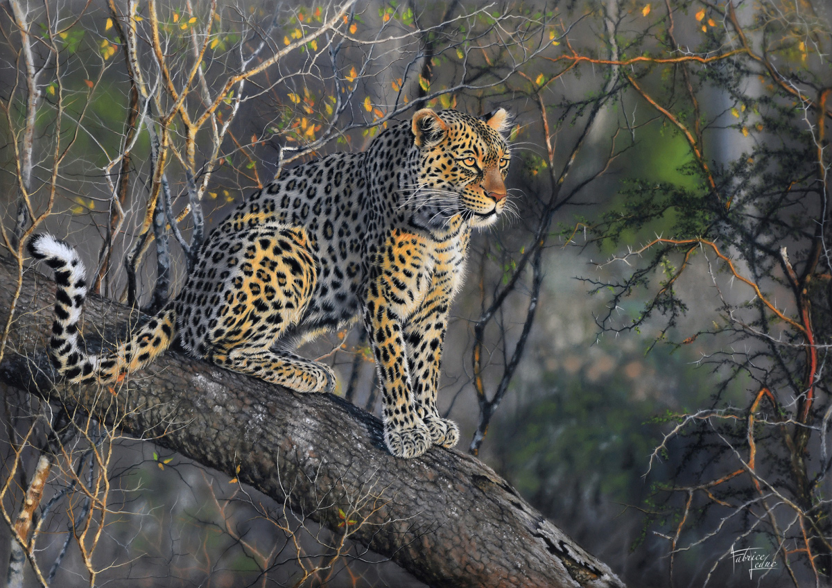 Fabrice LEDUC - Artiste pastelliste | Société des Pastellistes de France