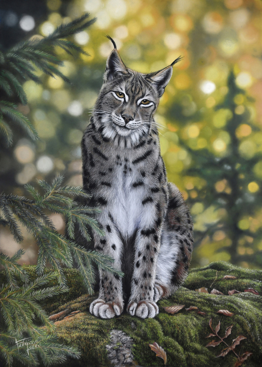 Fabrice LEDUC - Artiste pastelliste | Société des Pastellistes de France