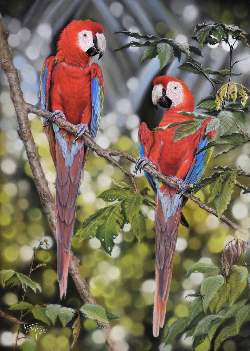 Fabrice LEDUC - Artiste pastelliste | Société des Pastellistes de France