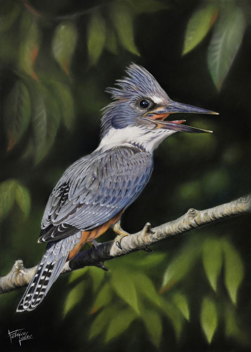 Fabrice LEDUC - Artiste pastelliste | Société des Pastellistes de France