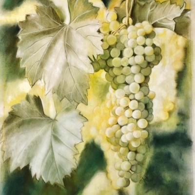 Isabelle Auffret Frazer de V. - Artiste pastelliste | Société des ...