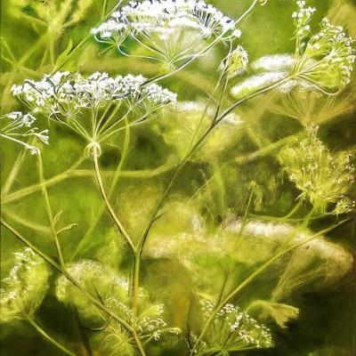 Isabelle Auffret Frazer de V. - Artiste pastelliste | Société des ...